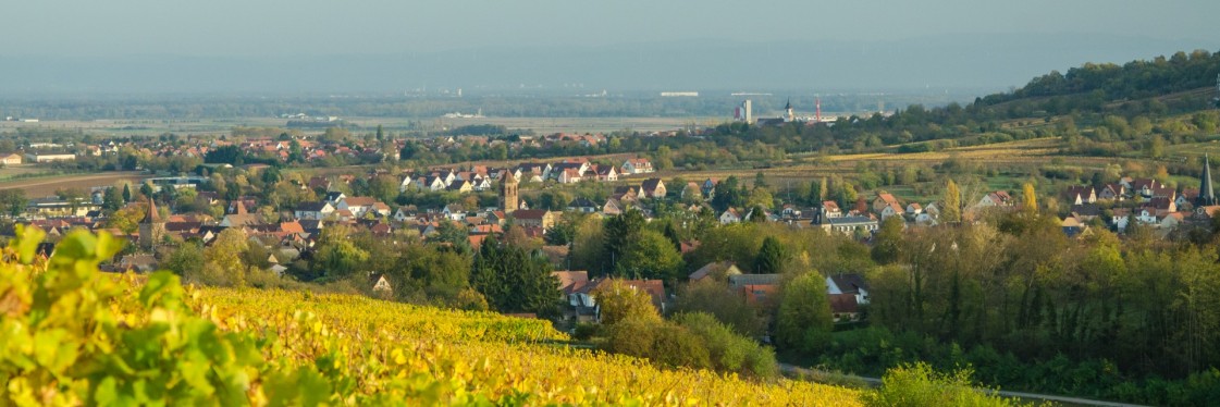 Vivre à Bischheim (67) : avis et informations - Villes à vivre