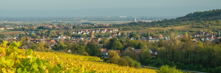 Vivre à Eckbolsheim (67) : avis et informations - Villes à vivre