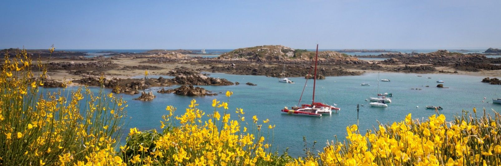 Vivre à Saint-Lô (50) : avis et informations - Villes à vivre