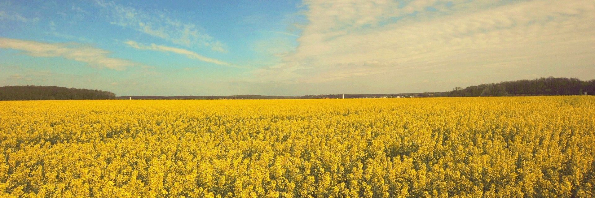 Vivre à Bonneval (28) : avis et informations - Villes à vivre
