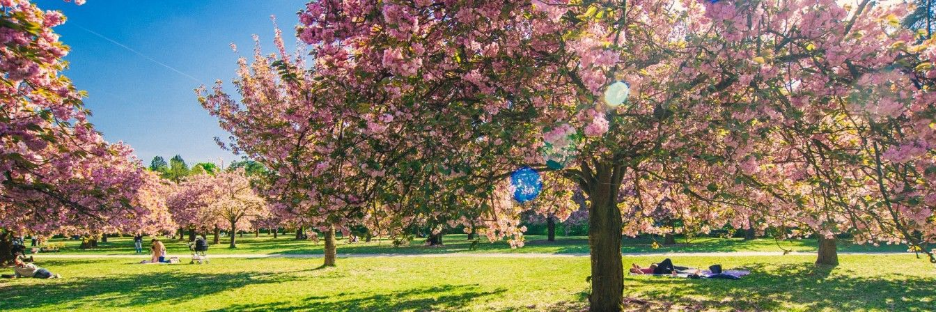 Vivre à Clamart (92) : avis et informations - Villes à vivre