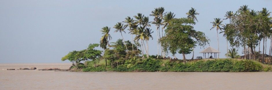 Vivre à Cayenne (973) : avis et informations - Villes à vivre