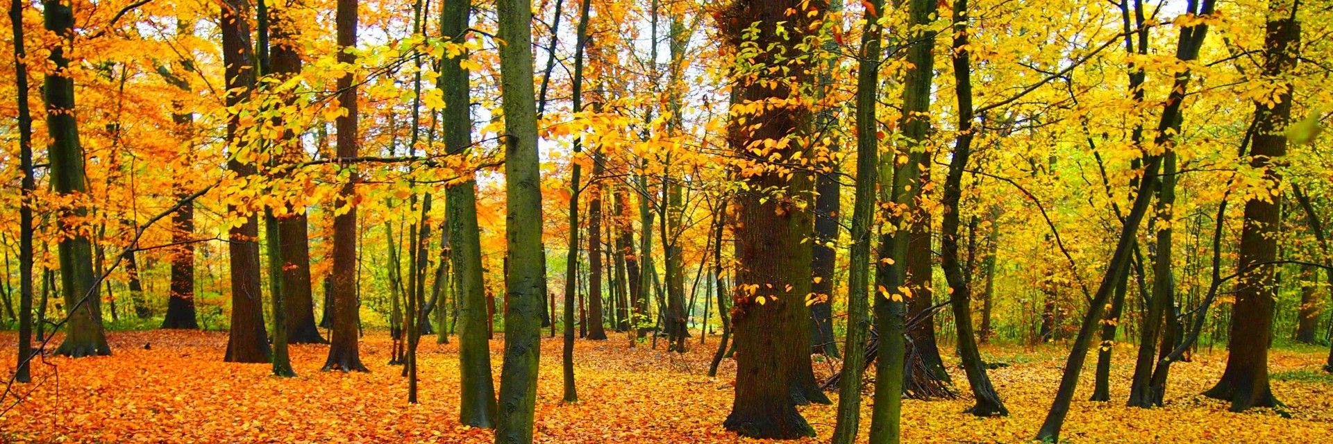 Vivre à Sevran (93) : avis et informations - Villes à vivre